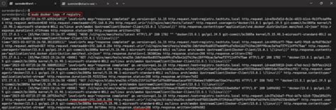 Private Docker Registry Setup 4sysops