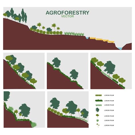 Premium Vector Agroforestry Vector Schematic Type