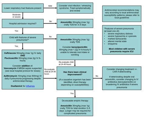 Clinical Practice Guidelines Community Acquired Pneumonia