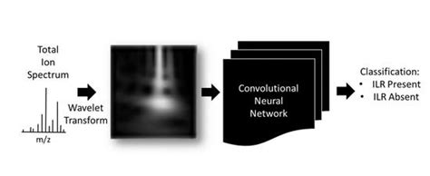 Chemosensors Free Full Text Convolutional Neural Network Applications In Fire Debris