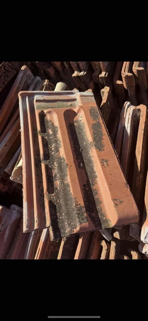 Crep Toza Markovic Kikinda 272 Kupujemprodajem