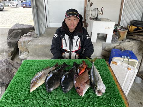 磯釣りでグレ41㎝・真鯛40㎝・タマン・ツバス・アカハタ・ゲット！ 一栄丸渡船｜三重県紀北町