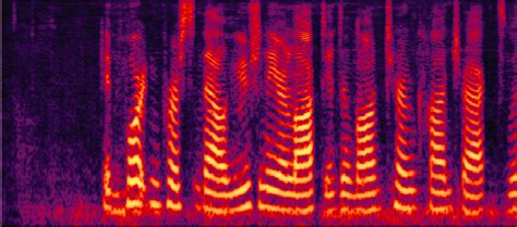 D²net A Denoising And Dereverberation Network Based On Two Branch Encoder And Dual Path Transformer