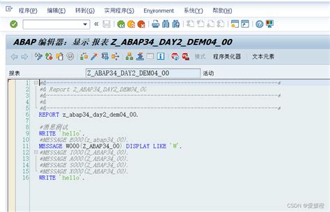 第一节 Sap Abap 基本语法 Csdn博客