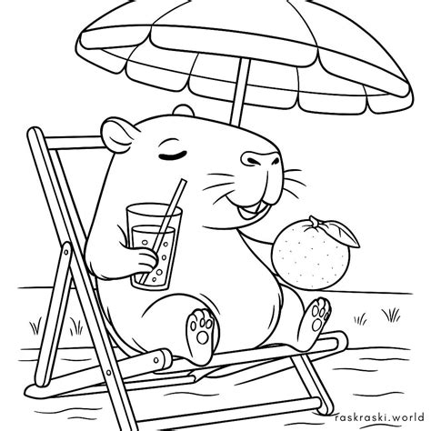 Капибара раскраски для детей распечатать А4 скачать бесплатно