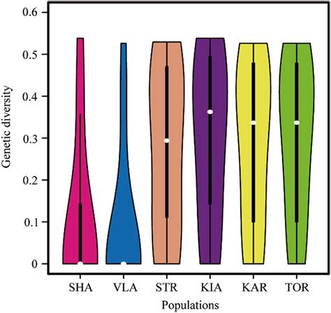 Violin Plot Of Genetic Diversity Neis Pi In Each Violin Plot The