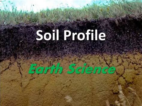 PPT Soil Profile PowerPoint Presentation Free Download ID 1978613
