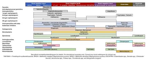 Víme Proč Z českých Lékáren Zmizel Penicilin Volnyblog