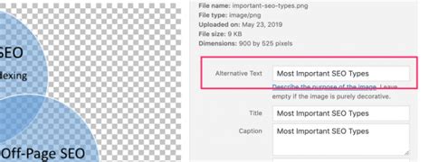 What Is Alt Text Examples Best Practices