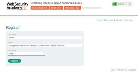 Web Llm 攻击实验：利用 Llm 中不安全的输出处理 Csdn博客
