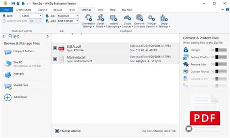 Winzip Free Download Passafact