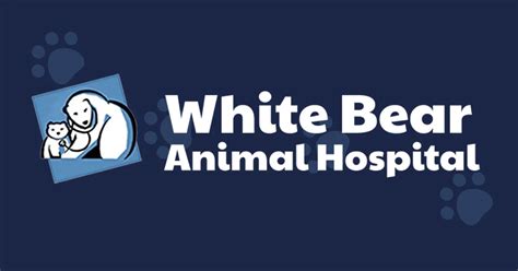 Stage 2 Periodontal Disease White Bear Animal Hospital
