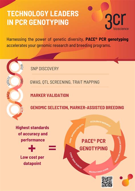Enhance Dairy Sheep Health With Snp Genotyping Techniques