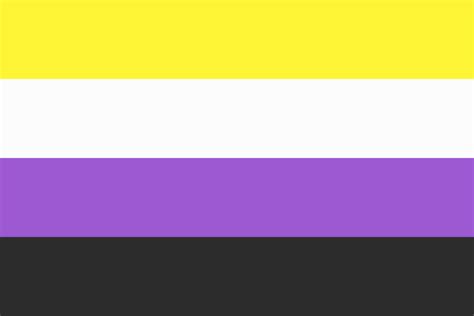 Nonbinary Flag Beyond Pink And Blue Insti