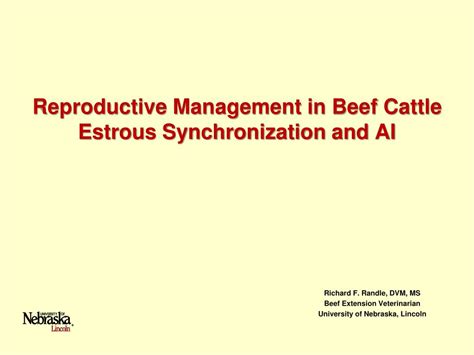 Ppt Reproductive Management In Beef Cattle Estrous Synchronization And Ai Powerpoint