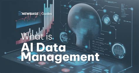 What Is Ai Data Management How To Optimize Your Ai Data Strategy Newbase Ai