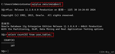 重装操作系统后 Oracle 11g 数据库数据还原重装oracle如何恢复数据 Csdn博客