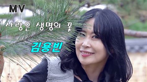 Mv 미스터트롯3 김용빈 사랑은 생명의 꽃패티김 Youtube