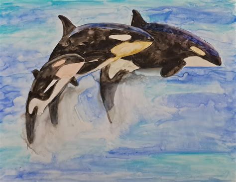 Orca Migration R Watercolor