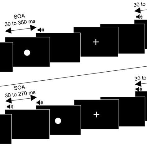 A Sequence Of The Temporal Order Judgment Task After Presentation Of A Download Scientific