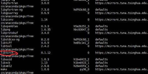 pytorch导入错误so undefined symbol Z libshm initPKc 剑峰随心 博客园