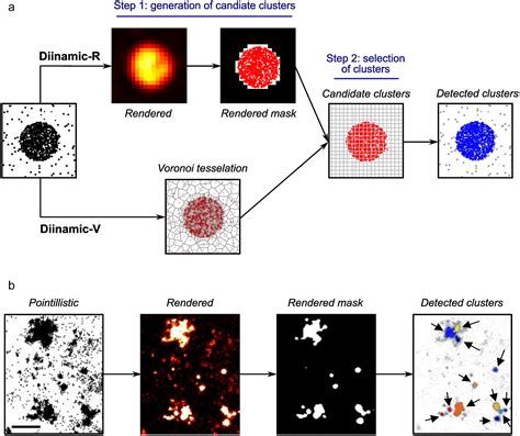 Introducing Diinamic A Flexible And Robust Method For Clustering Analysis In Single Molecule