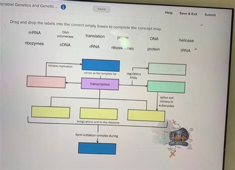 solved genetic saved help save and exit submit 10 please