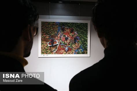 نمایشگاه عکس جشنواره منطقه‌ای سینمای جوان یزد ایساتیس گشایش یافت ایسنا