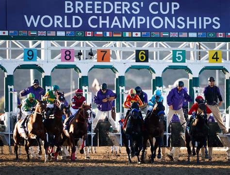 Breeders Cup Consensus Picks For Saturday Nov 1 2025 At Del Mar