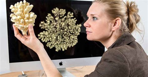 Master Computational Science Joint Degree Uvavu Universiteit Van Amsterdam