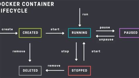 What Is Docker Lifecycle