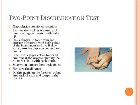 Two Point Discrimination Wikipedia 40 Off