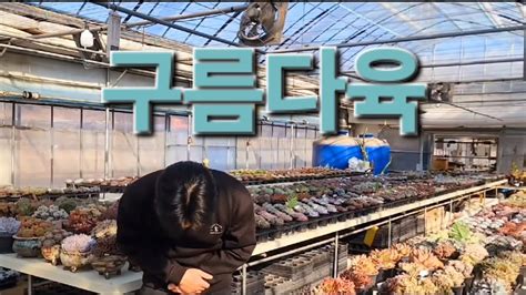 안녕하세요 구름다육입니다 Youtube