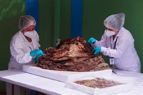 秘魯天然氣公司「聘考古學家」！ 裝管線邊挖掘：10年挖1700件古物 克蘿伊星人 鍵盤大檸檬 Ettoday新聞雲