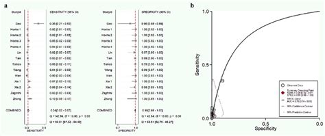 Forest Plots A And Summary Receiver Operating Characteristic Curve