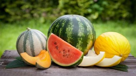 Цены на арбузы и дыни в Украине летом 2023 года