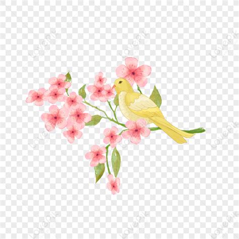 새가 나뭇가지 위에 꽃이 스티커 일러스트분홍사쿠라 Png 일러스트 무료 다운로드 Lovepik