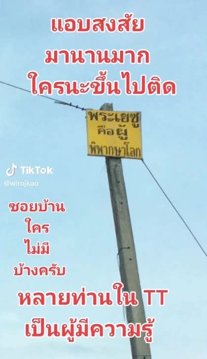 ป้ายพระเยซู แม้อยู่ในป่า ต้นไม้สูงก็ยังเห็น ใครเป็นคนขึ้นไปติด