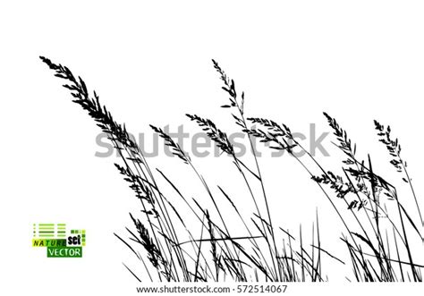 Grass Tracing Vector Stock Vector Royalty Free 572514067 Shutterstock
