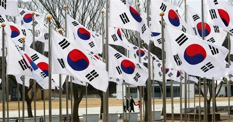 현대판 매국노…“독도는 일본 땅” 태극기 불태우고 일장기 내건 30대 남성 위키트리