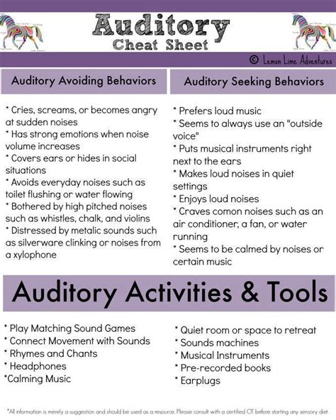 Auditory System Sensory Processing Explained Artofit