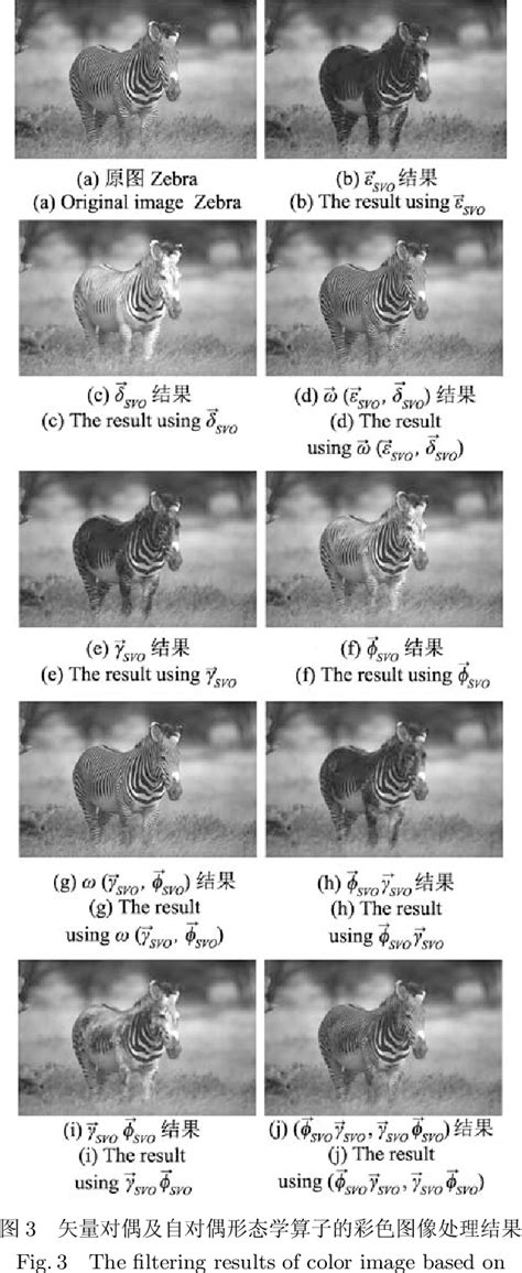 Figure 1 From Vector Self Dual Morphological Filtering Operators Semantic Scholar