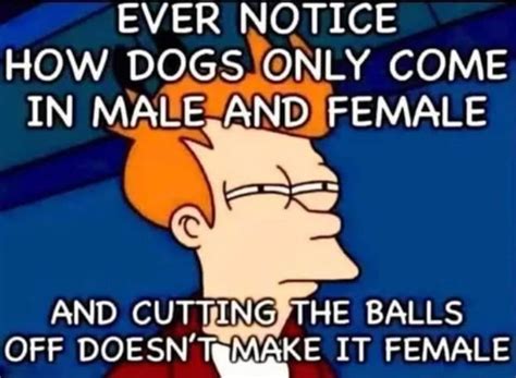 Men Female Dogs Rimfinnagotohell