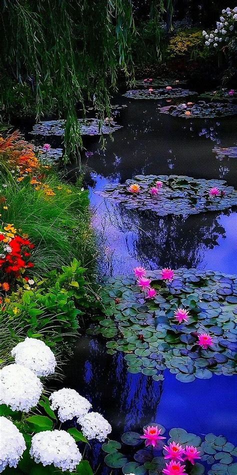 Как прекрасен этот мир посмотри Всё будет хорошо Фотострана Пост №2574092373