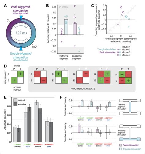 Behavioral Modulation Depends On Both Theta Phase And Task Segment A