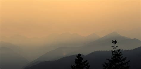 Humo De Incendios Forestales Reduce La Calidad Del Esperma Revela