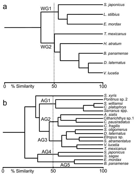 Cluster Analysis Dendrogram For The Most Abundant And Frequent Larval