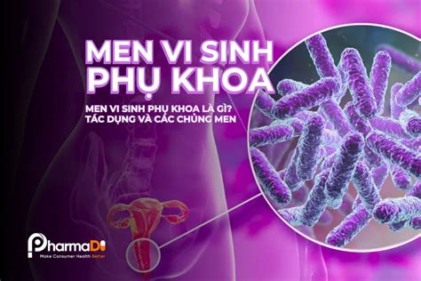 Men Vi Sinh Ph Khoa L G T C D Ng V C C Ch Ng Men Vi Sinh