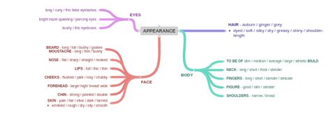 Appearance Coggle Diagram