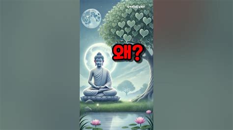 불교는 왜 신을 믿지 않을까 Youtube